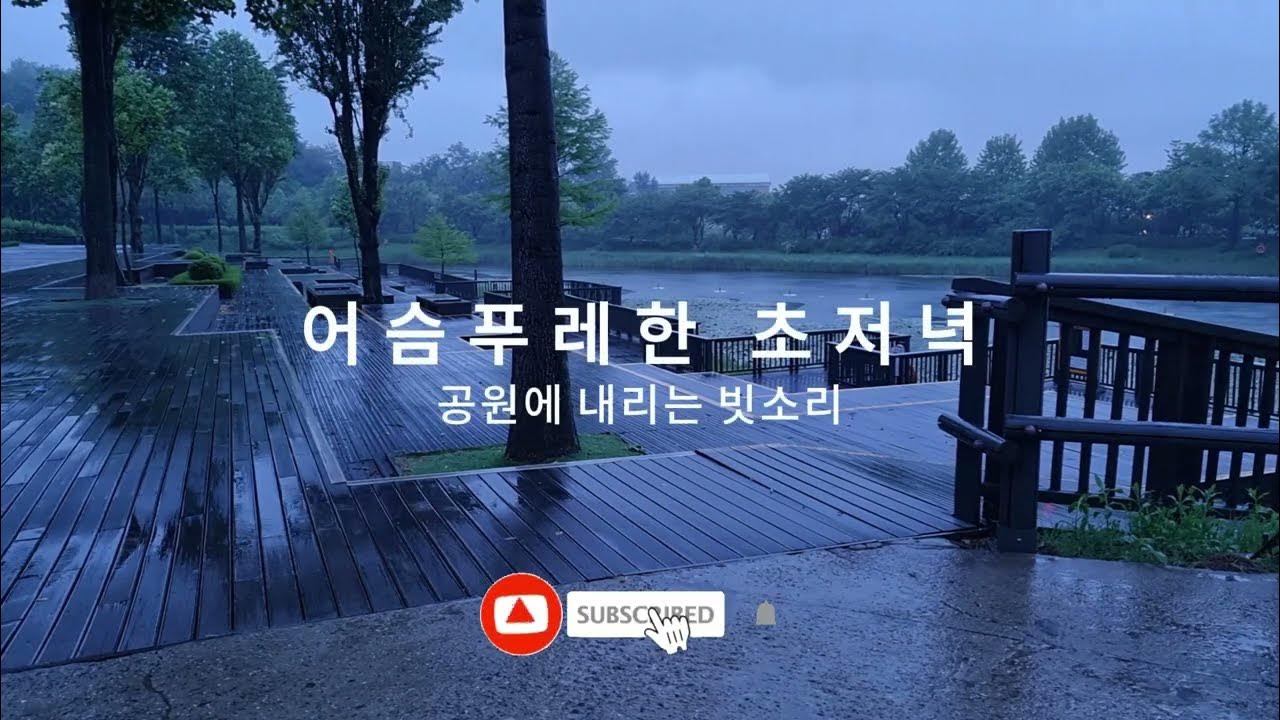 어슴푸레한 초저녁 공원에 내리는 빗소리 잠이 잘 오는 빗소리 Asmr Youtube