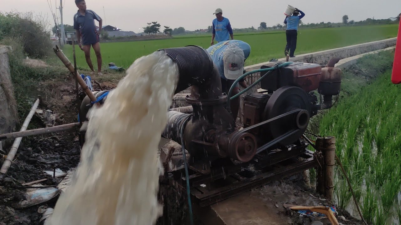 POMPA Dompeng pengairan sawah di musim kemarau - YouTube
