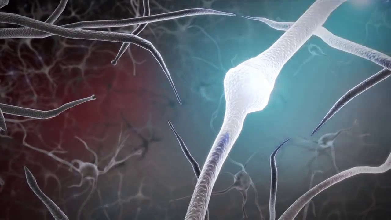 1 Experiences Build Brain Architecture - YouTube