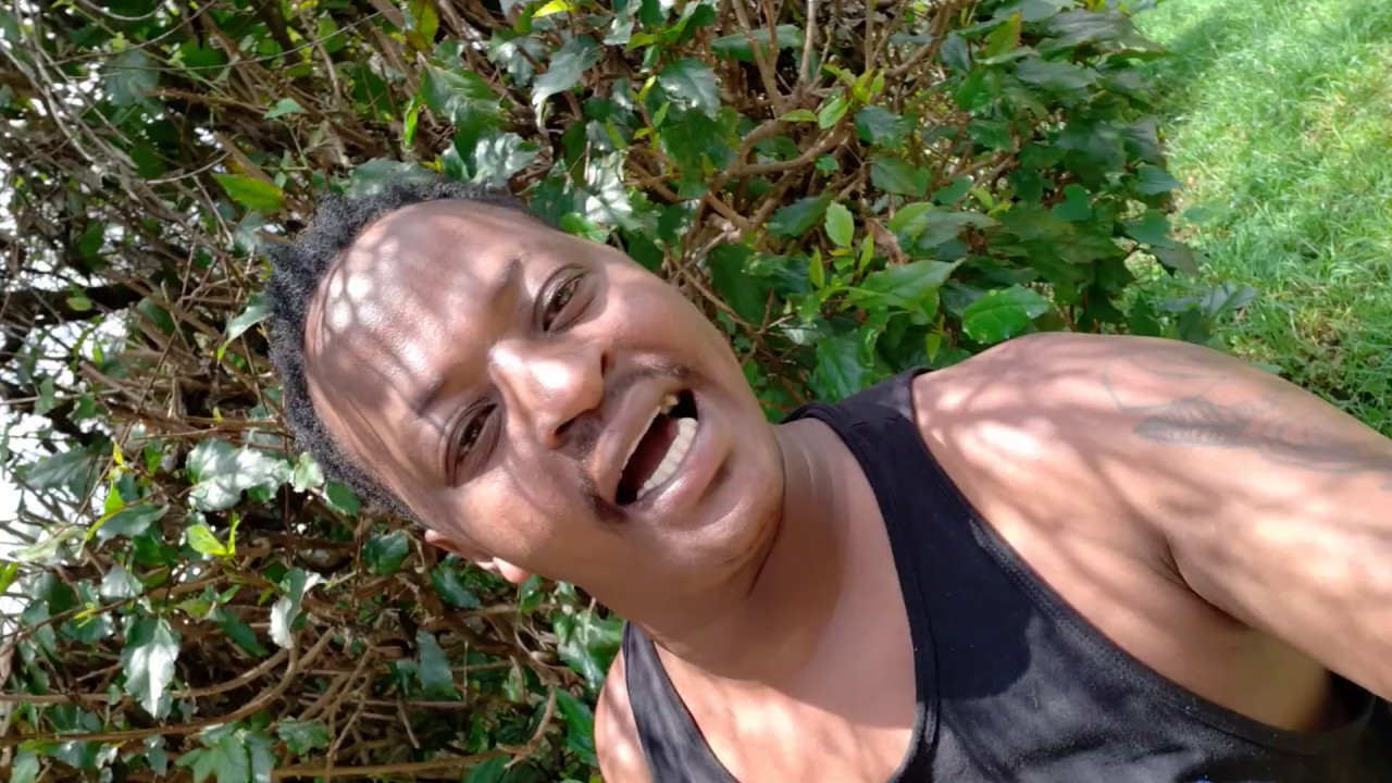 Stay home have fun - YouTube