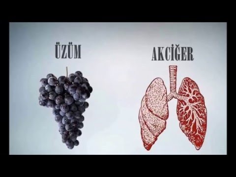 Benzediği organa iyi gelen besinler