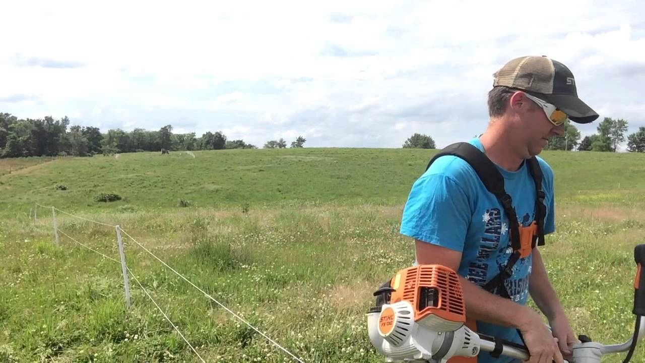 Rotational Grazing :: Daily Move - YouTube