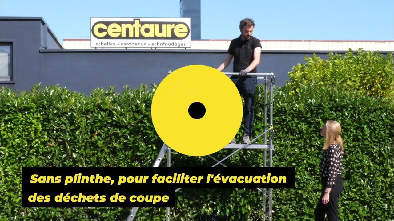 Comment tailler une haie en hauteur avec facilité et confort ? - YouTube