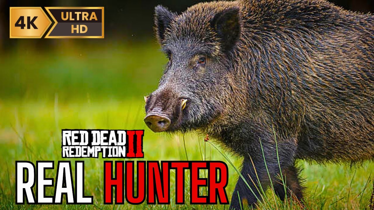 REAL HUNTER™ | 𝑅𝑒𝓁𝒶𝓍𝒾𝓃𝑔 𝐵𝑜𝒶𝑅 𝒽𝓊𝓃𝓉: 𝑅𝑒𝒶𝓁𝒾𝓈𝓉𝒾𝒸 𝑅𝑜𝒶𝓁𝓉𝓎 𝒾𝓃 𝑅𝒹𝑅2 [4K] - YouTube