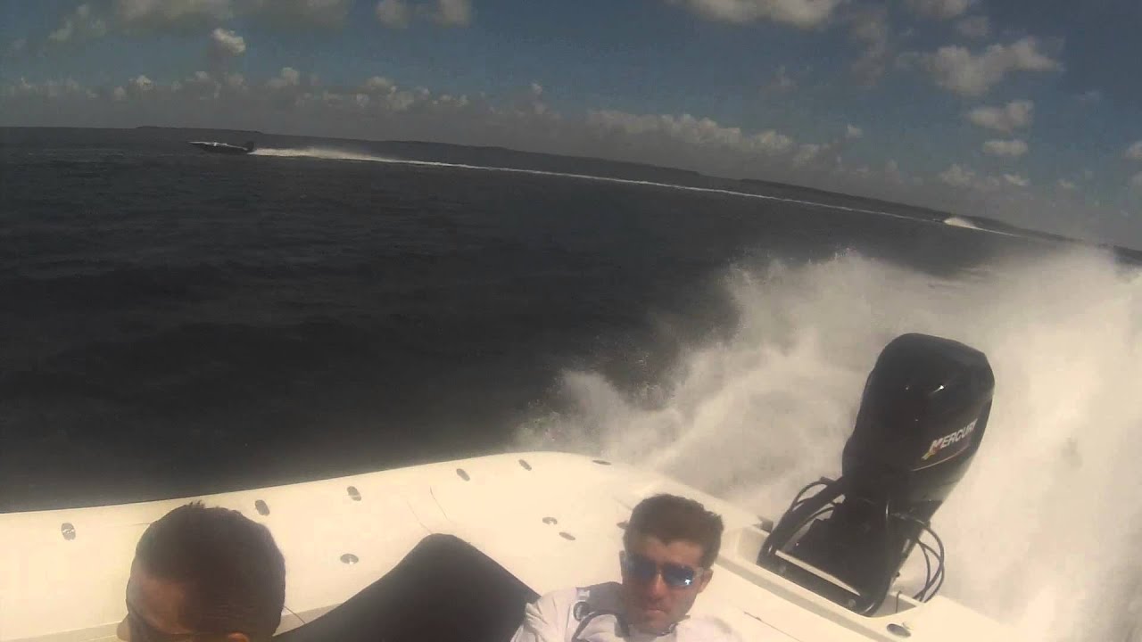 Scream and Fly 2015 - YouTube