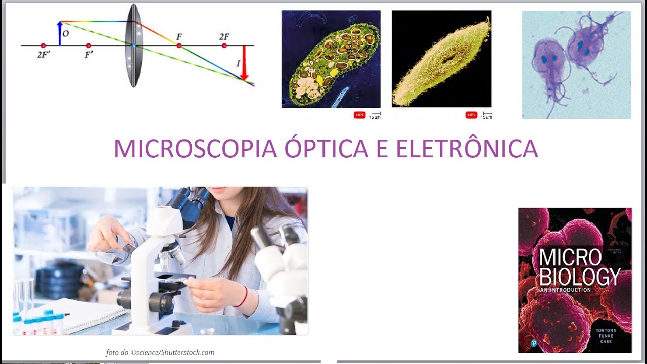 Microscopia óptica E Eletrônica - RETOEDU