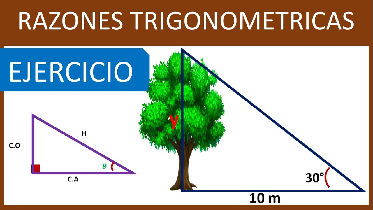 Razones Trigonométricas | Solución de problemas | Ejercicio 2 - YouTube