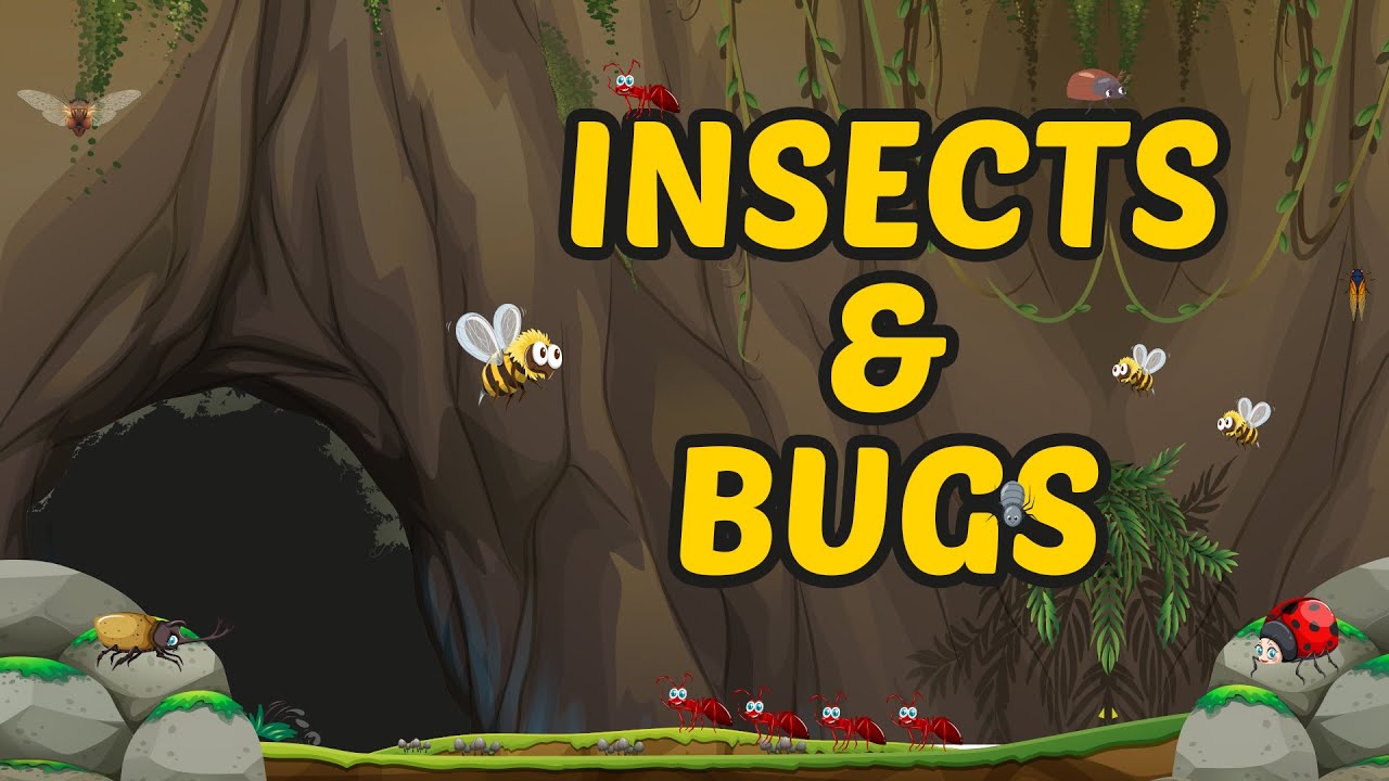 Bugs and Insects: A Fun and Interactive Learning Adventure for ...