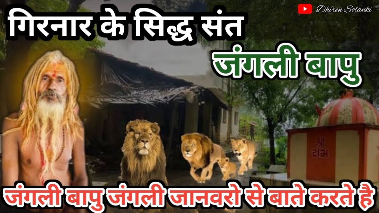 Jangli Bapu Ashram Junagadh || जंगली बापू जानवरो के साथ रहते है ...