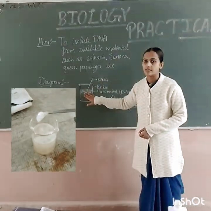 DNA SPOOLING #DNA EXTRACTION FROM FRUIT CLAAS 12TH - YouTube