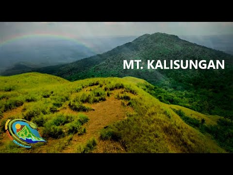 Kids Hiking Mt. Kalisungan, Calauan, Laguna, Philippines - YouTube