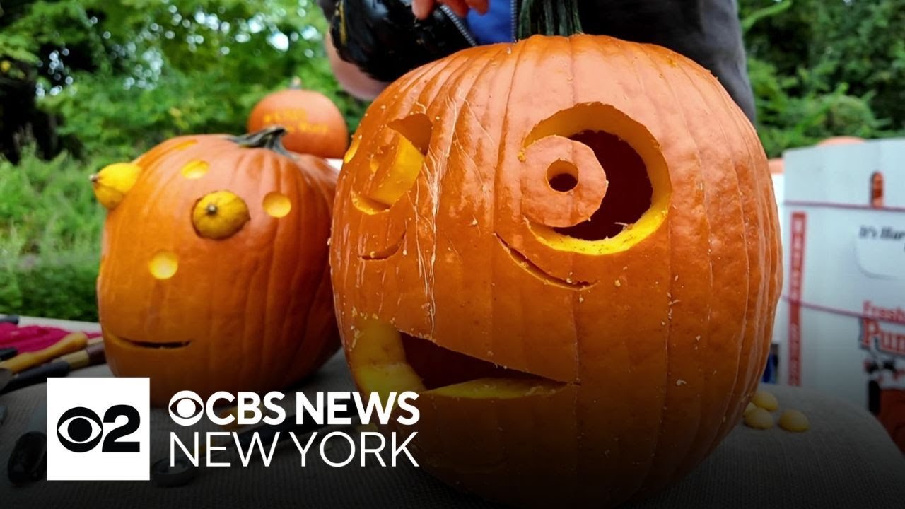 Need some pumpkin carving help this Halloween? Get tips from an expert ...