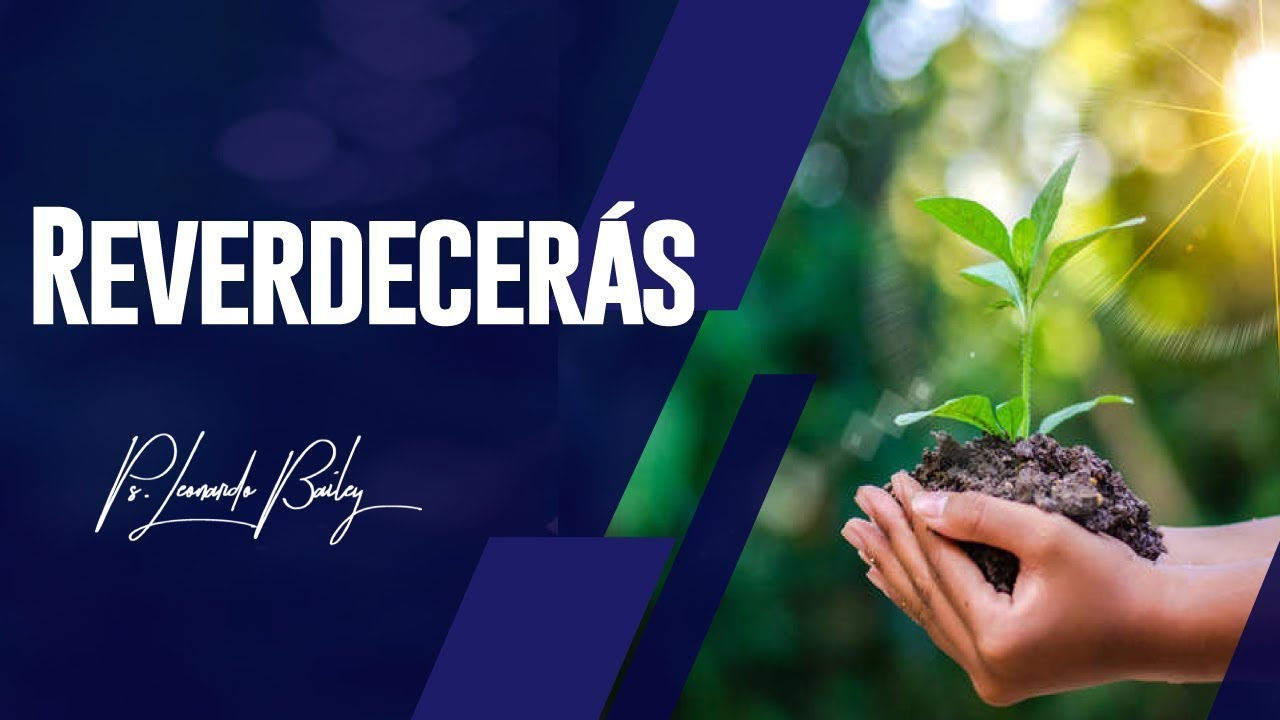 REVERDECERA - YouTube