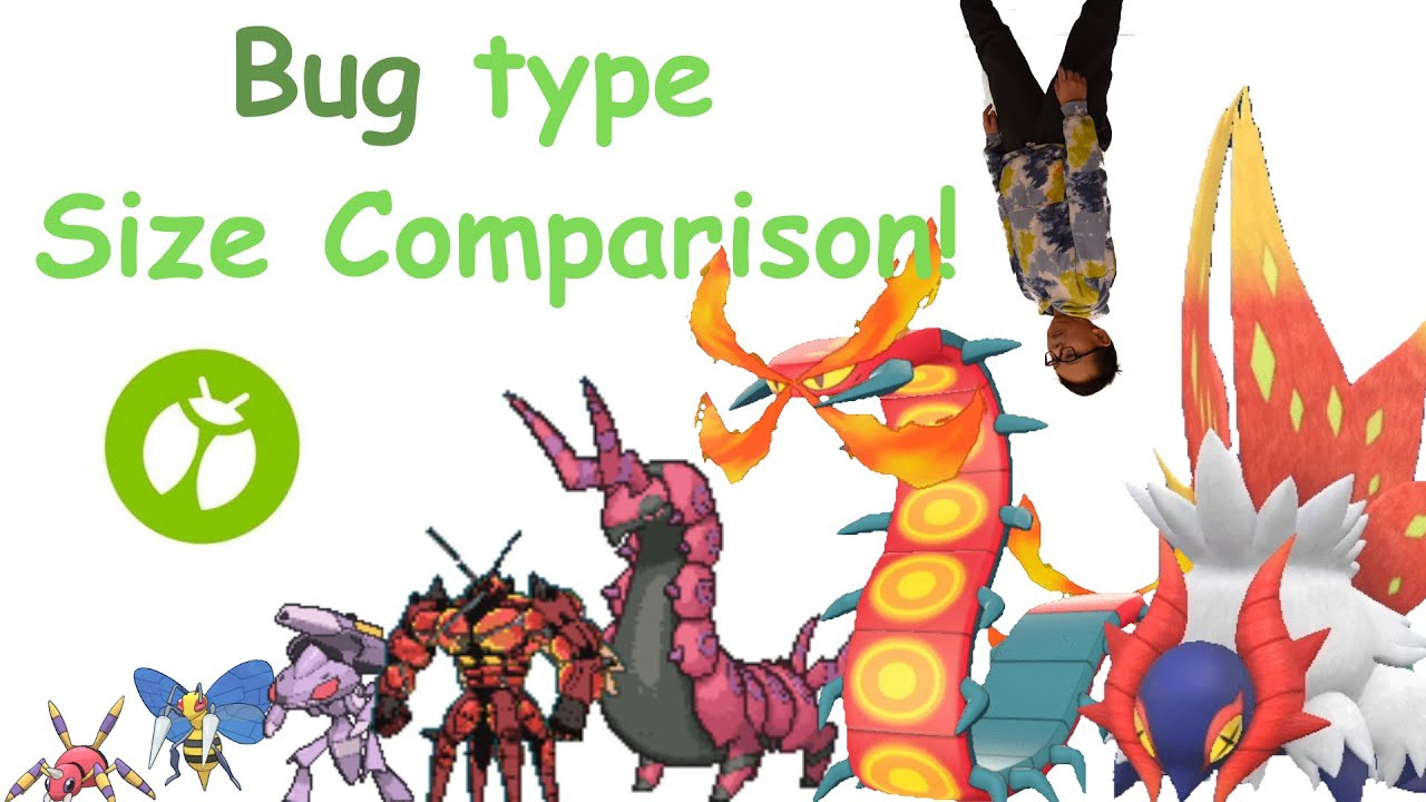 All bug type Pokémon size comparison! Gen 1-9 - YouTube