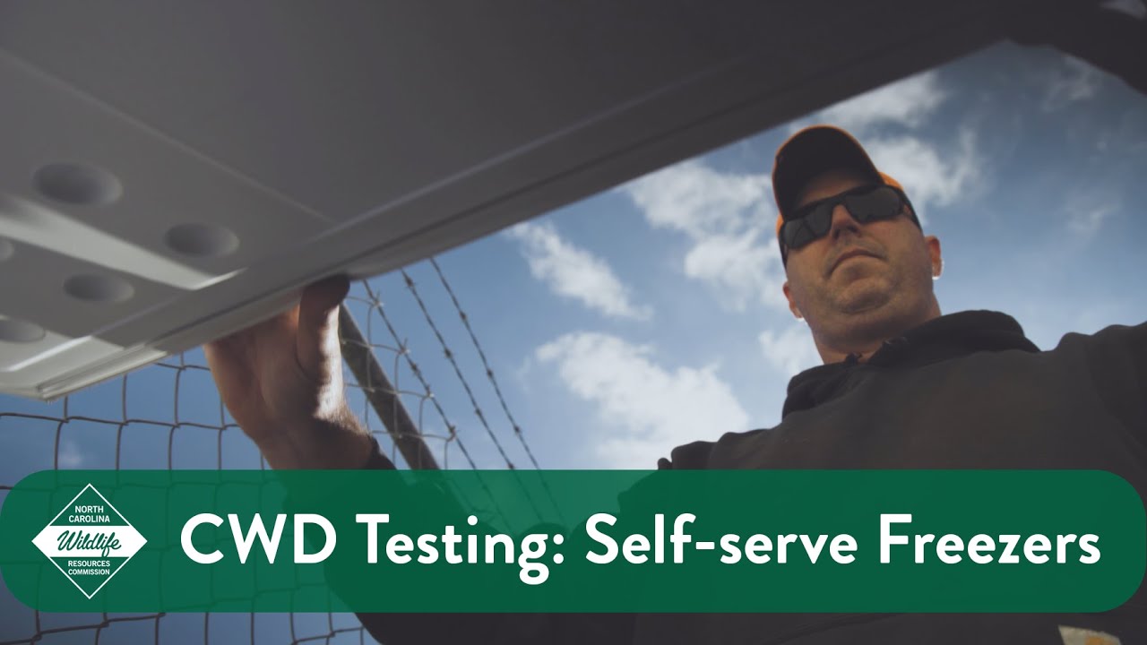 CWD Testing: Using Self-serve Freezers - YouTube