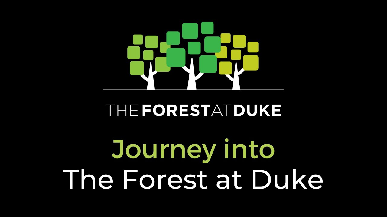 Journey into The Forest at Duke - YouTube