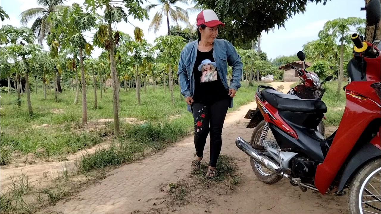 mus de taub ntoos siav ntshav kub thiab sov heev li yuav los da dej - YouTube