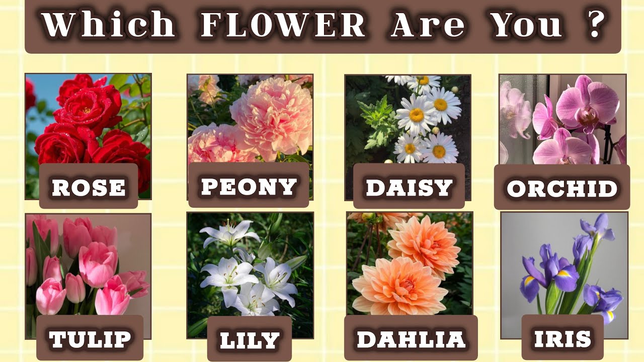 Which FLOWER Are You ? ️🌸 Fun Personality Quiz @harni_bee - YouTube