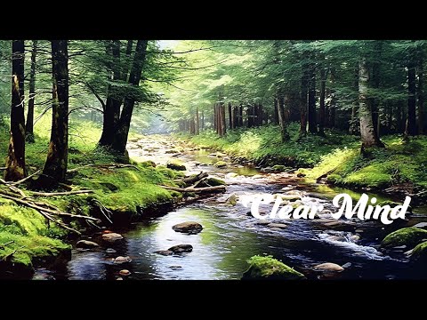 Ambient sound | Meditation journey | Relaxing Nature (Mountain stream ...