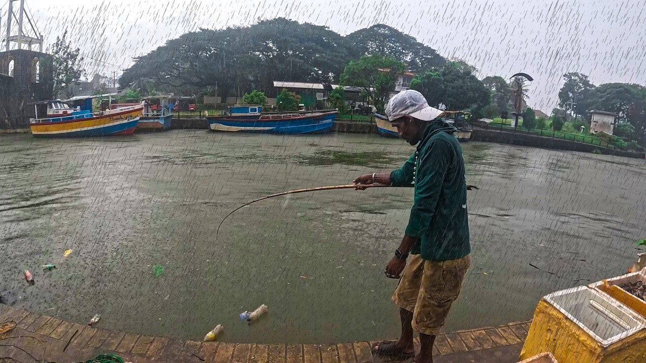 Great! Hardworking Fisherman Fishing Day To Night | Eel Fish And Mullet ...