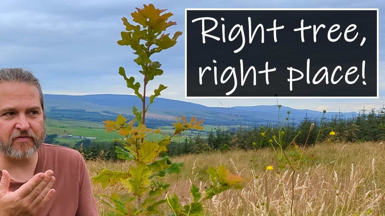 Right Tree, Right Place: How to Read Your Land Before You Dig - YouTube