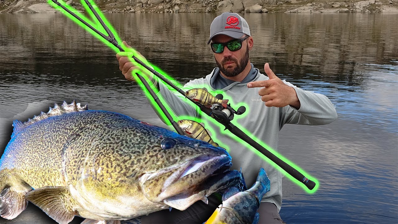 Murray Cod tackle set up for Copeton Dam - YouTube