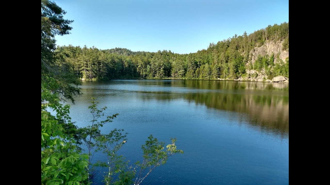Take a walk at Gull Pond - YouTube