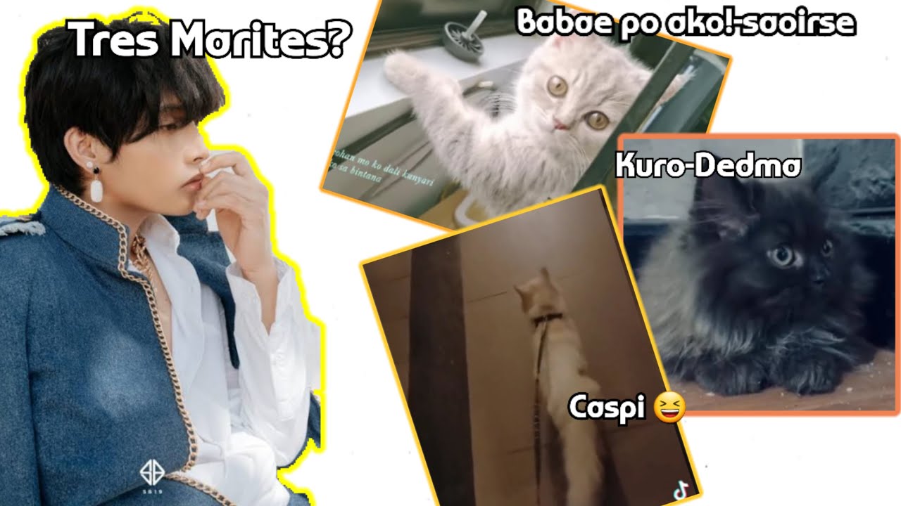 SB19 Ken to Kuro Saoirse and Caspi | Tres marites?🤣 - YouTube