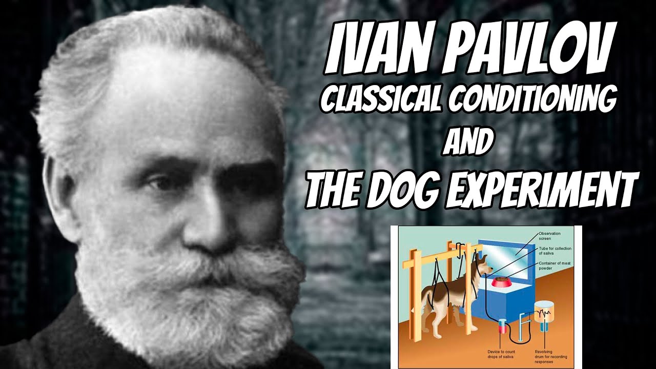 Reprogramming The Mind; Classical Conditioning Techniques for Human ...