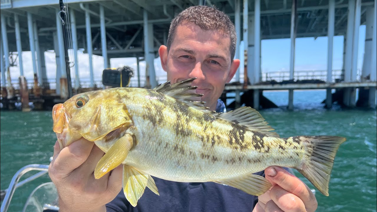 Fishing in California USA - Boat fishing for Bass, Halibut and Rockfish ...