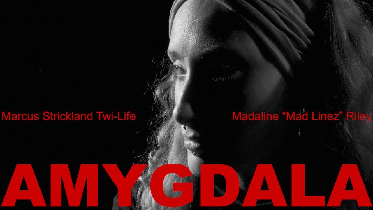 Marcus Strickland Twi-Life – Amygdala (feat. “Mad Linez”) [OFFICIAL SHORT FILM, 4K] - YouTube