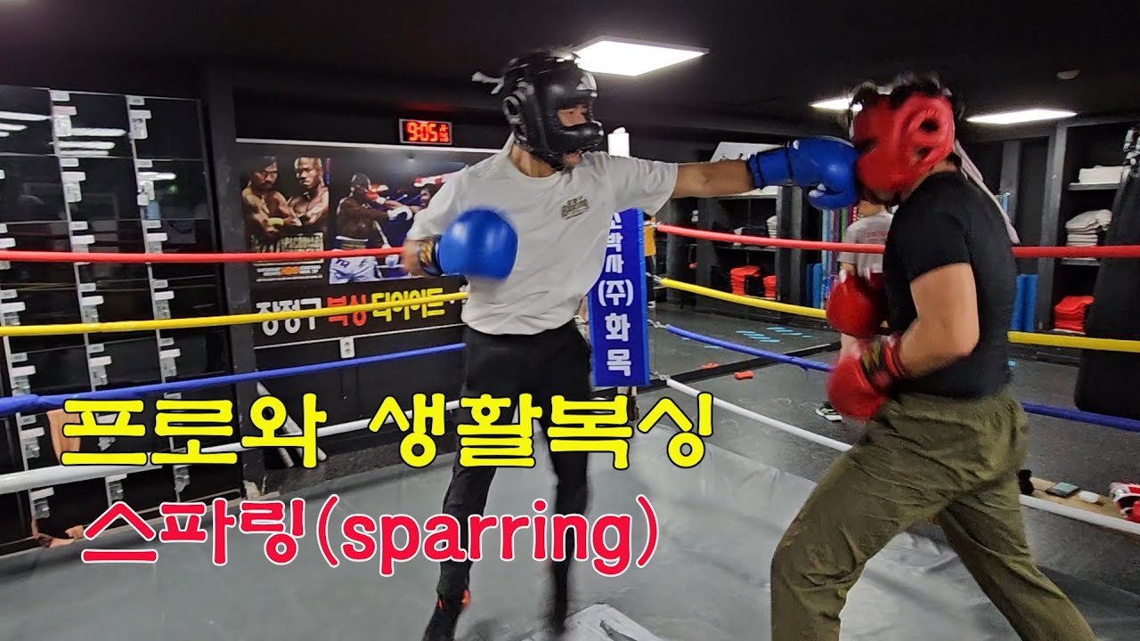 프로 빡서와 생활복싱인의 스파링에서 많이 늘었네 Boxing 권투 생활복싱 프로복싱 제이나인 다이어트복싱 스파링
