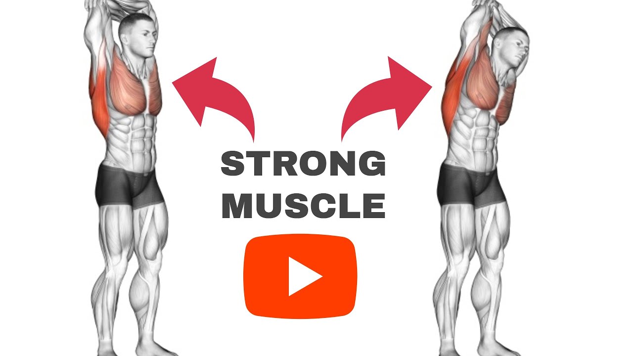 Morning Glory Workout: Boost Your Energy and Dominate the Day - YouTube