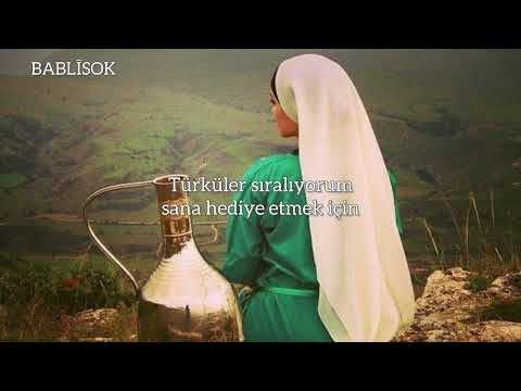 Hozan Hamid - Ne Hewce (Türkçe Çeviri)