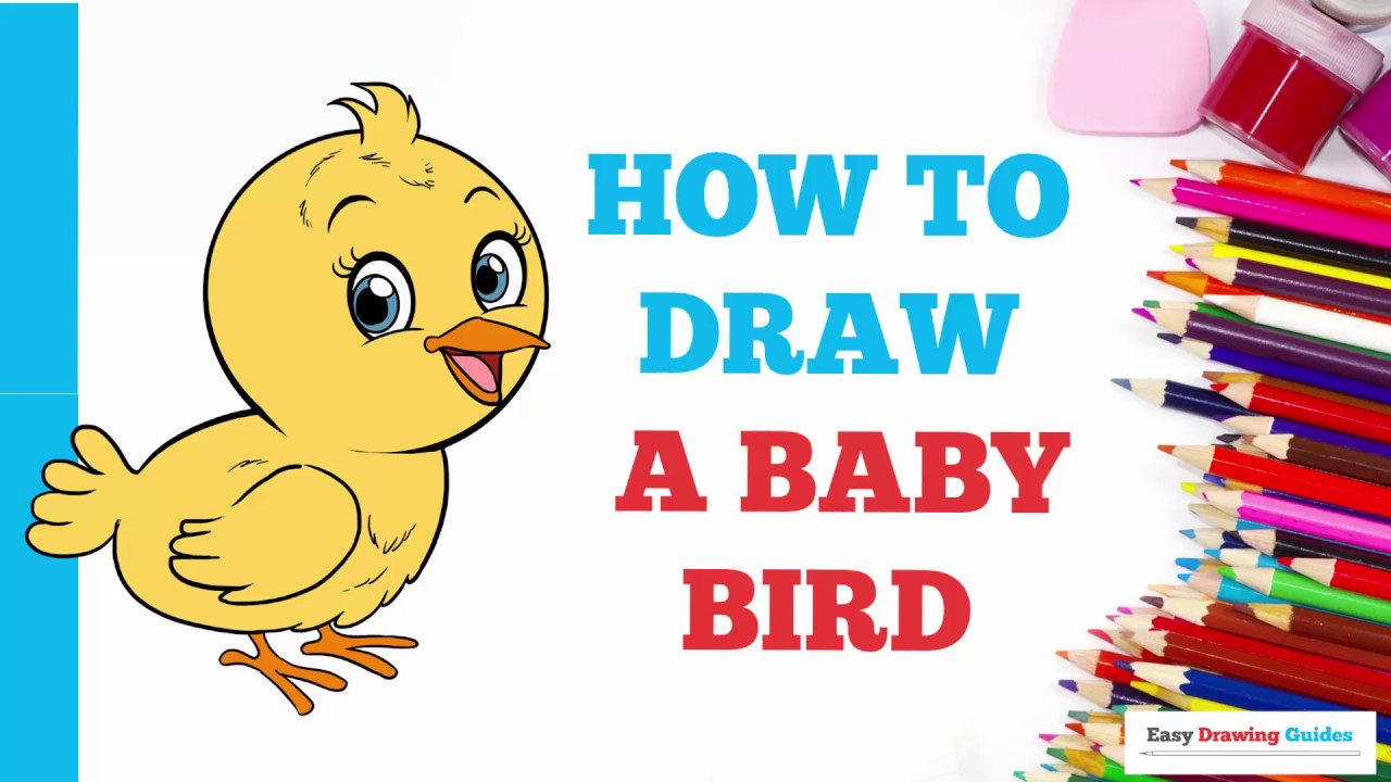 How To Draw A Baby Bird Really Easy Drawing Tutorial Drawing