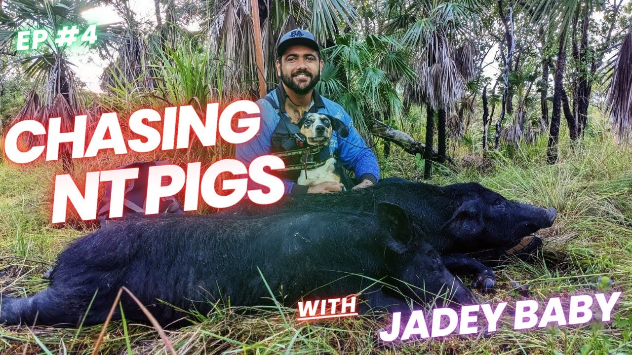 More pigs for the pup the better! | NT Pig Hunting | PUNT Ep4 - 2023 ...