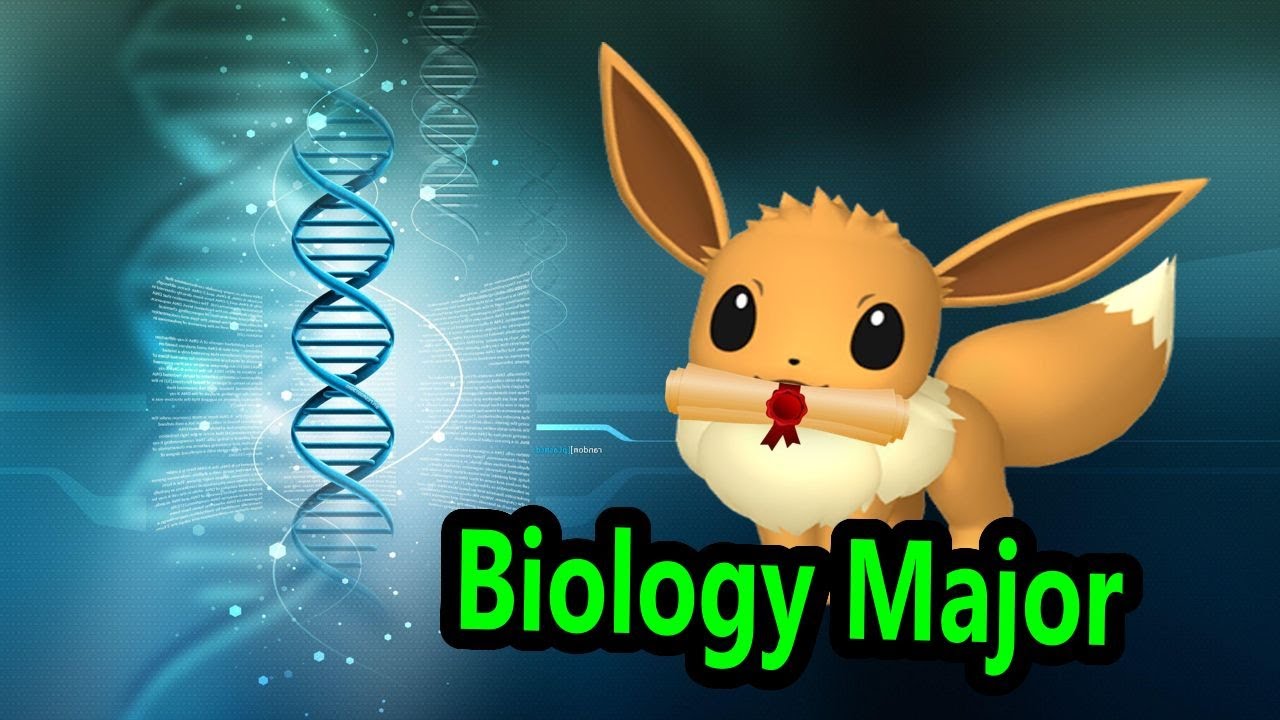 Biology Major explains how Eevee works - YouTube