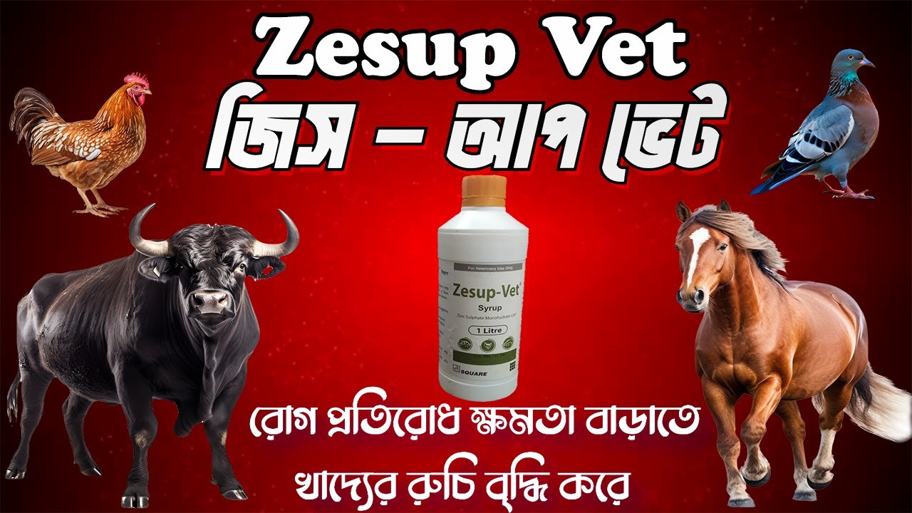 Zesup Vet ।। পশু - পাখির লোম গজাতে, ওজন বৃদ্ধি ও সৌন্দর্য বৃদ্ধি করতে ...