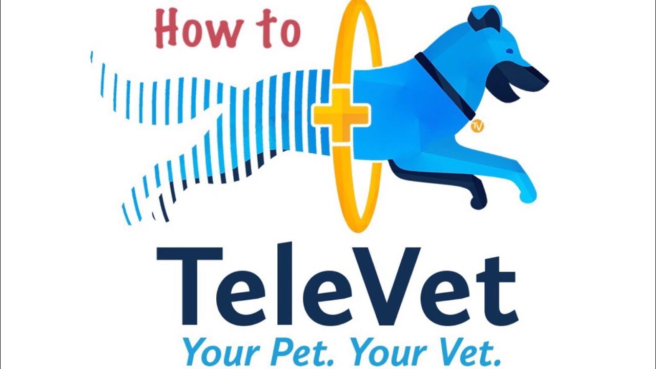 TeleVet Medicine at Peachtree Hills Animal Hospital (HOW TO) - YouTube