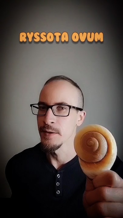 Ryssota ovum Гигантская улитка Баюку Bayuku Polished muffin - YouTube