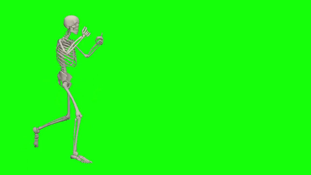 💀ESQUELETO bailando pantalla verde 🕺💃 [ bones dancing chroma key ] - YouTube