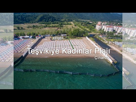 Çınarcık Teşvikiye Kadınlar Plajı