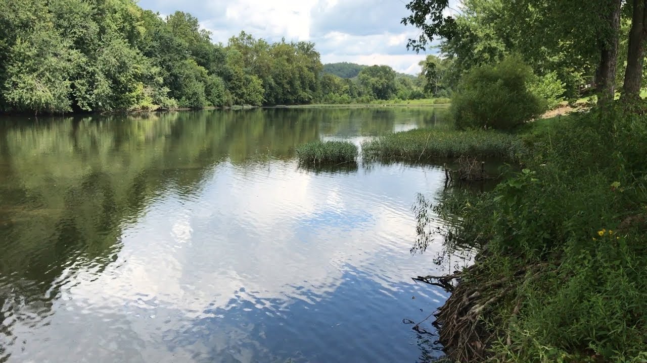 WVDA is Leading the Way in Cleaning Up Major East Coast Watershed - YouTube