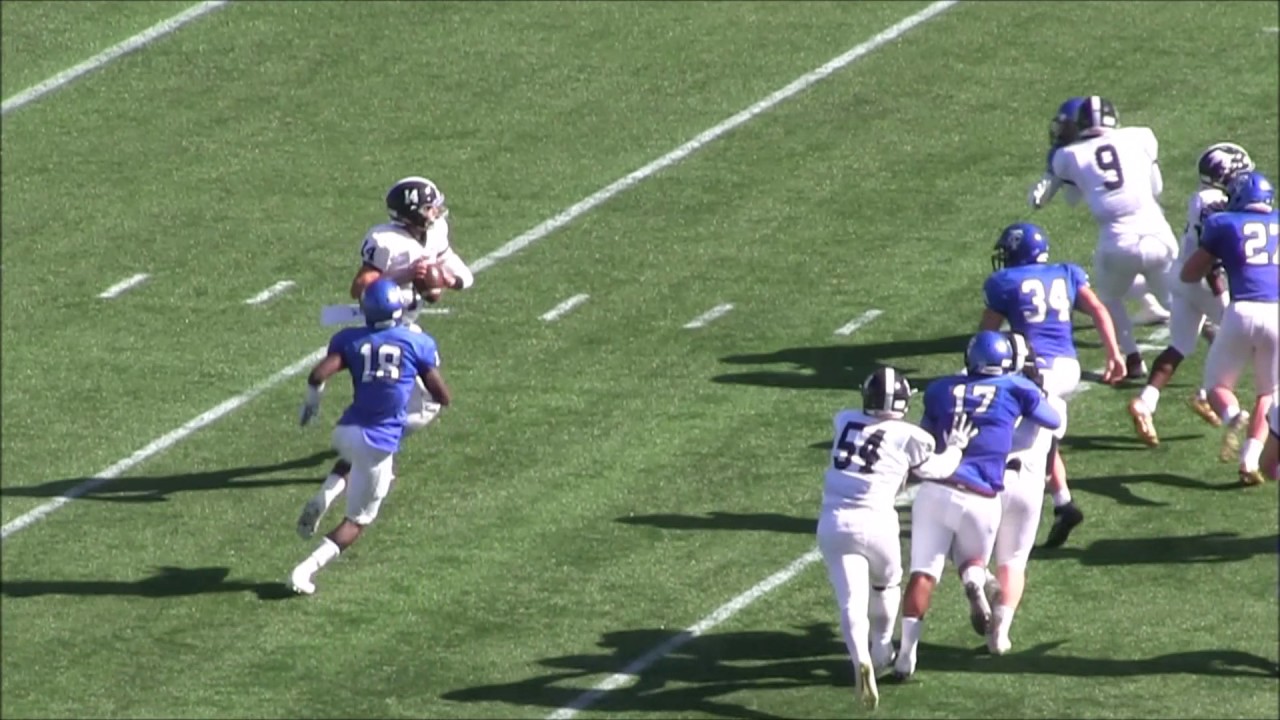 Trinity Christian from Jacksonville wins 3A State Championship - YouTube