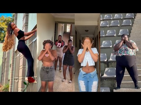Moliy - Fly (TikTok Viral Song) Shake it to the max Visuals - YouTube