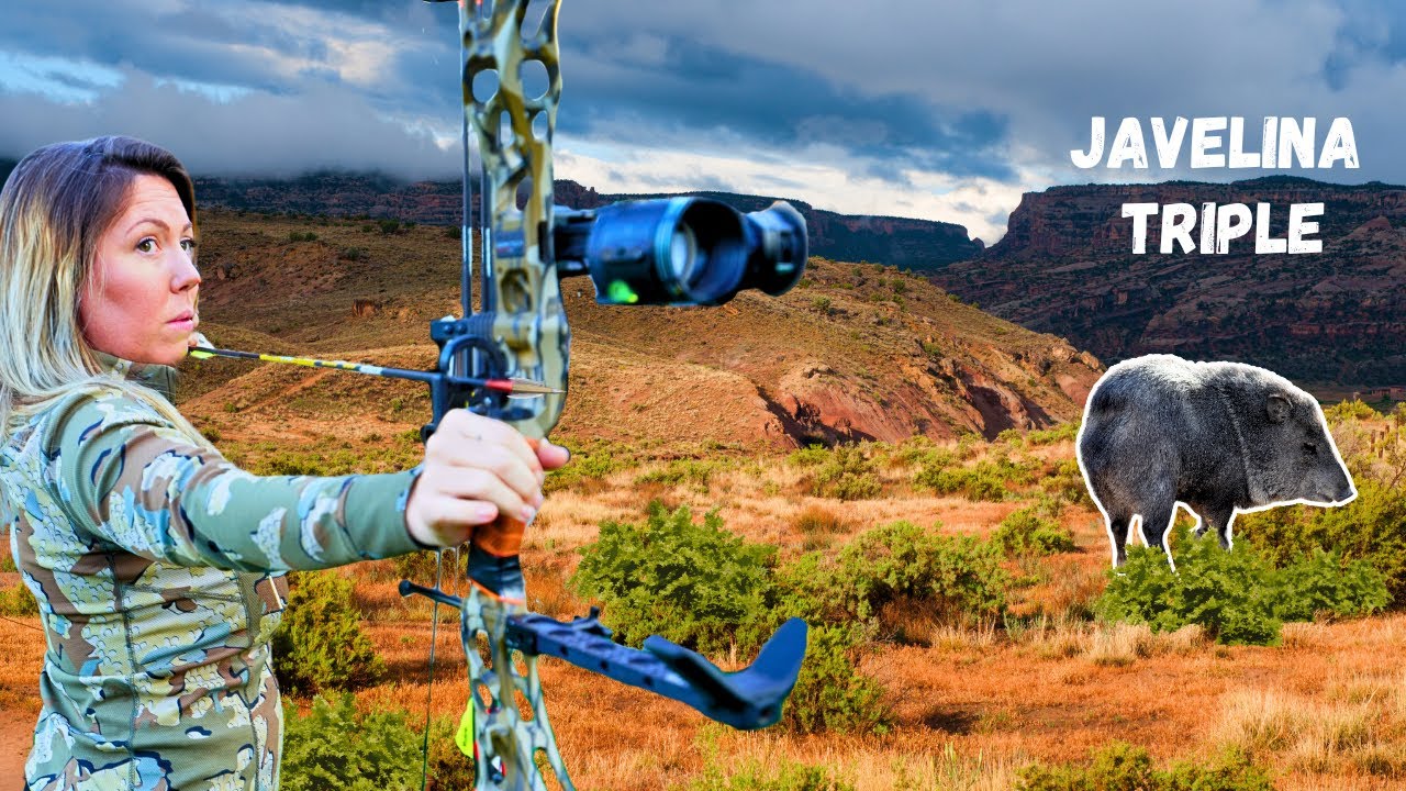 Archery javelina hunt triple! (Things got CRAZY) - YouTube