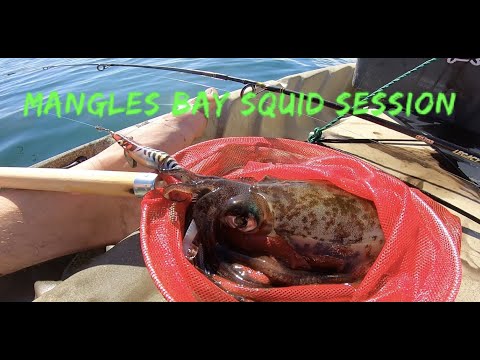 Mangles bay squid session | kayak squid fishing