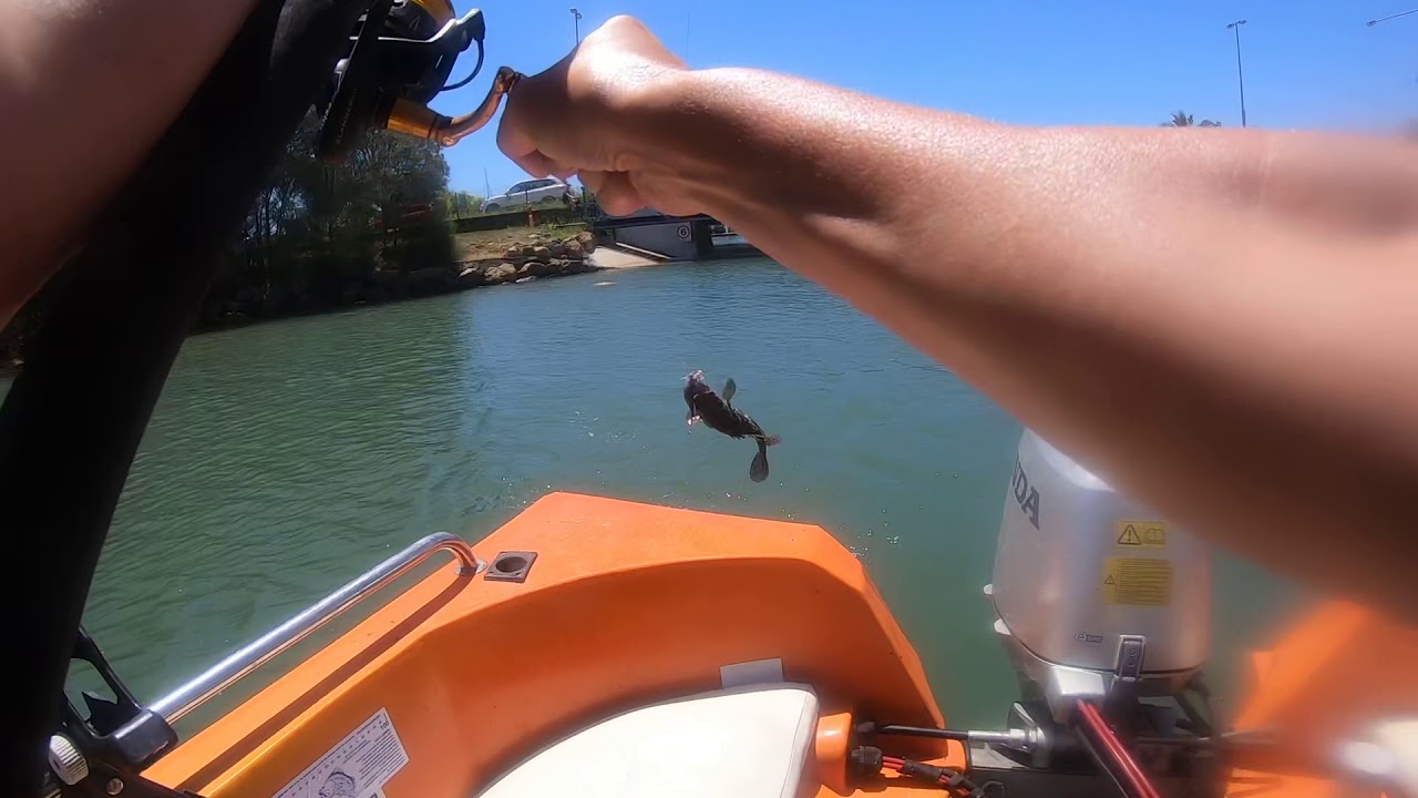 Mooloolaba Canal fishing - YouTube