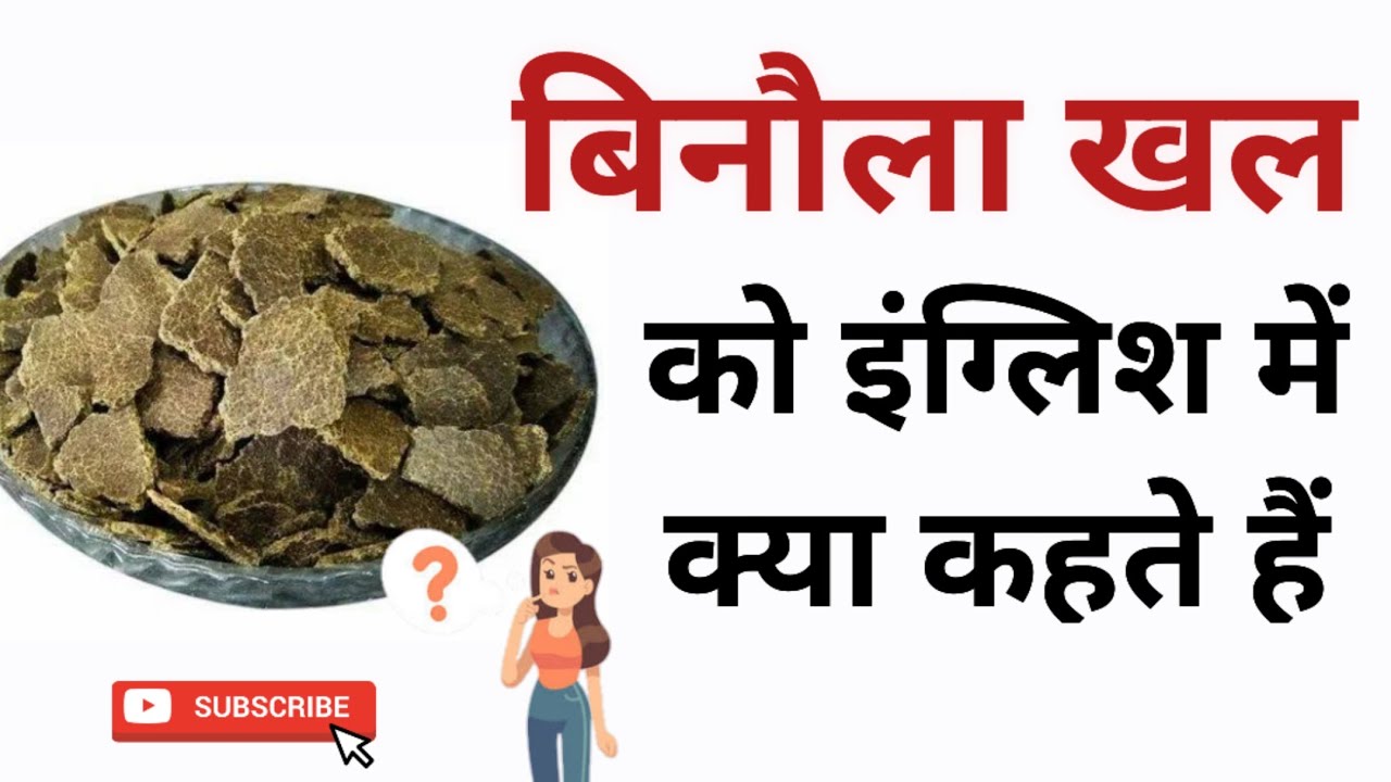 बिनौला खल in english | Khal ko english mein kya kahate hain | Binola ...