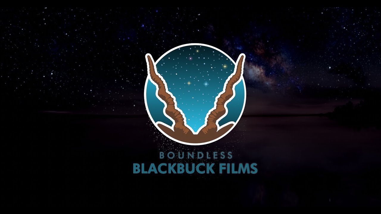 BOUNDLESS BLACKBUCK FILMS | LOGO ANIMATION | OLDMONK STUDIO - YouTube